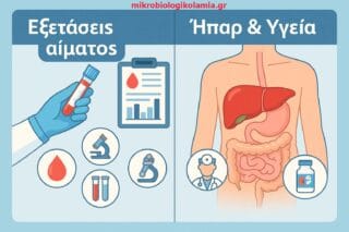 Γ-Γλουταμυλοτρανσφεράση (γ-GT): Ο Απόλυτος Οδηγός | Μικροβιολογικό Λαμία