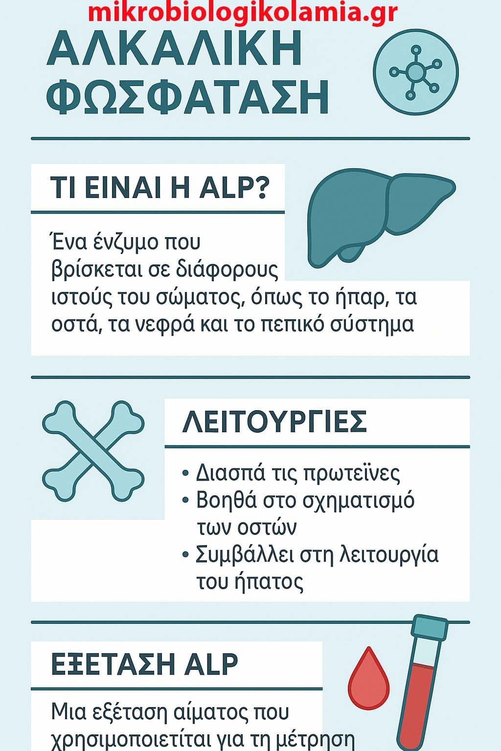 Αλκαλική Φωσφατάση (ALP): Τιμές και Ερμηνείες στο Εργαστήριο