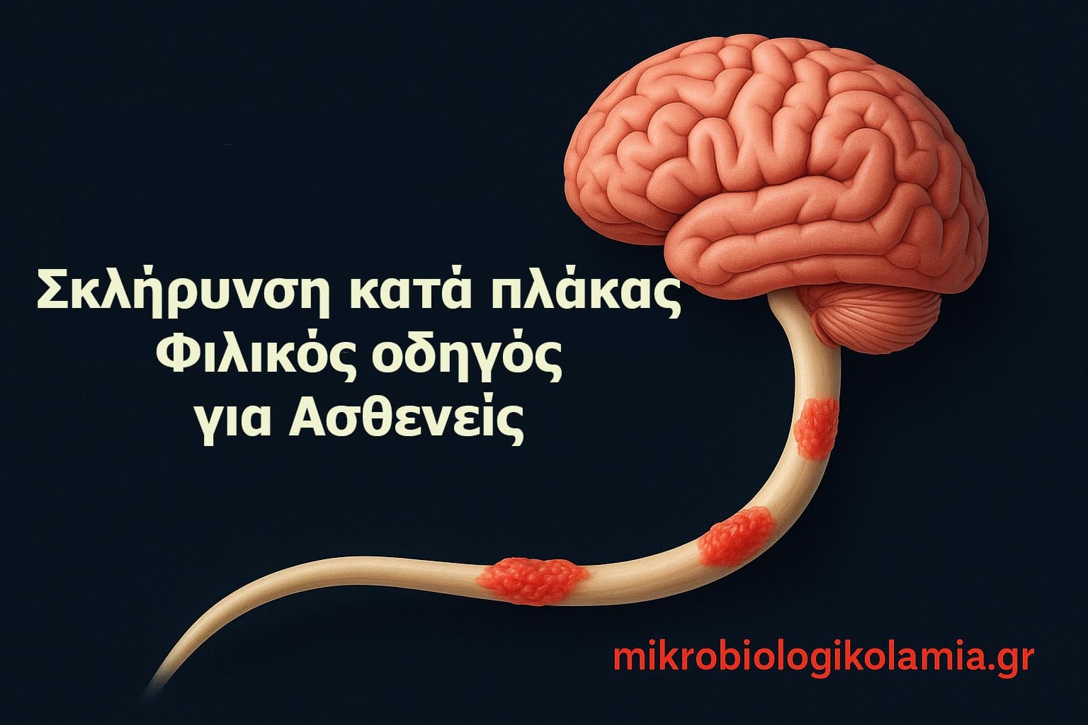 Σκλήρυνση Κατά Πλάκας (ΣΚΠ): Συμπτώματα, Διάγνωση, Θεραπεία – Φιλικός ...