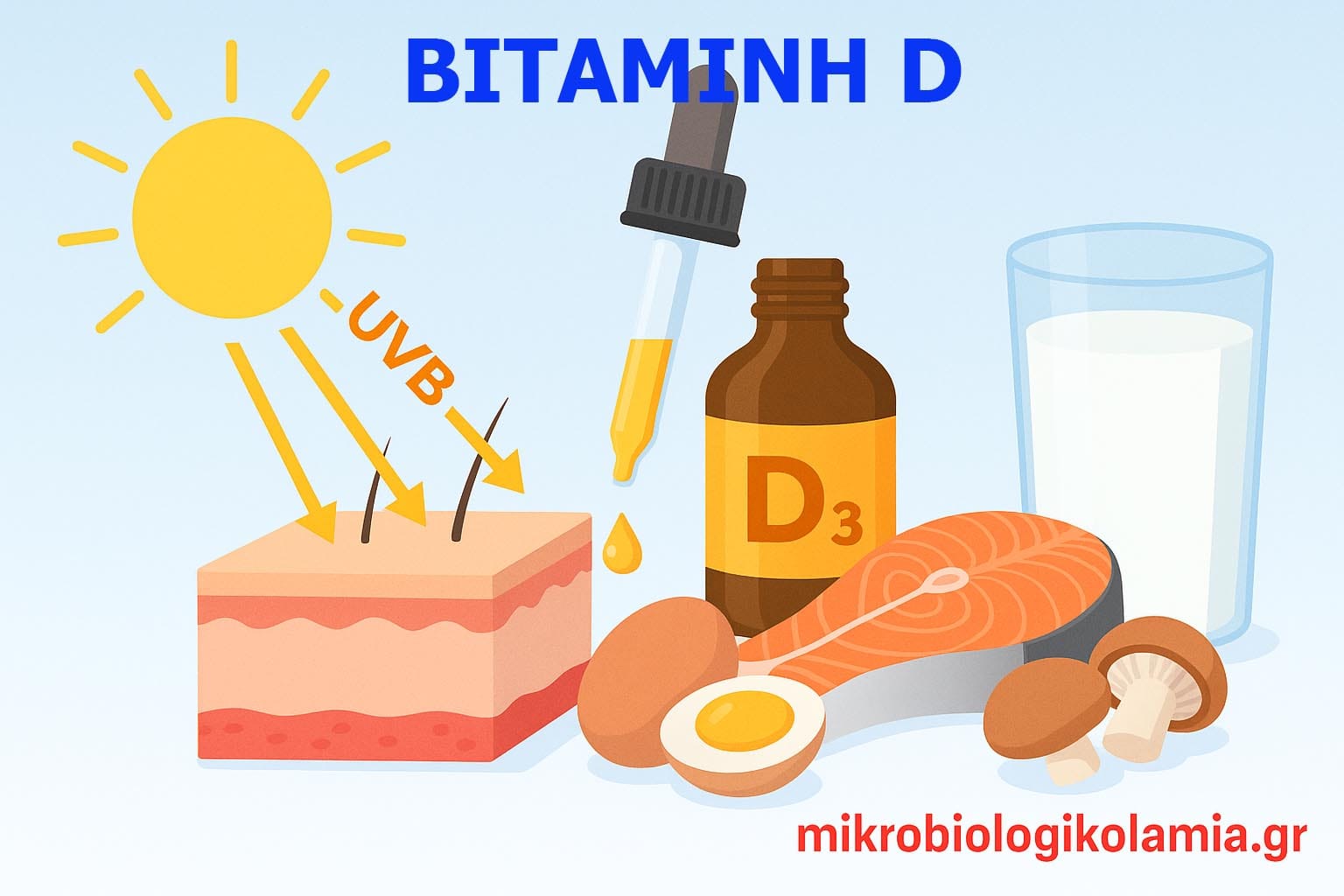 Βιταμίνη D : Φυσιολογικές τιμές 25-OH και πώς ανεβαίνουν με ασφάλεια ...